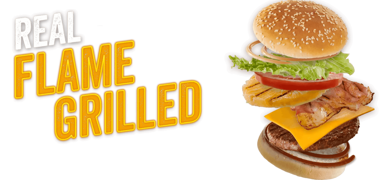 Steers Landing Page Preview – Droppedinto.com